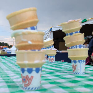 Ripple Pizza & Ice Cream – Conifer, CO